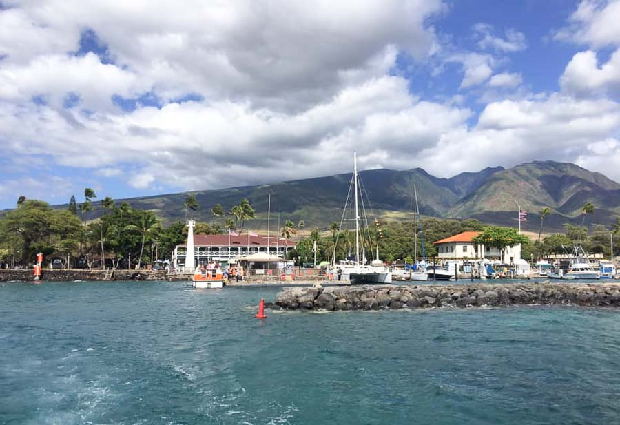 Top 8 Things To Do In Lahaina - D to Do blog